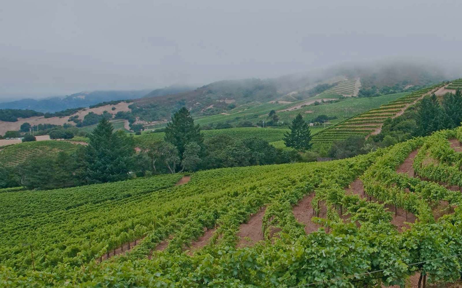 Contact Us - QB Winery Solutions